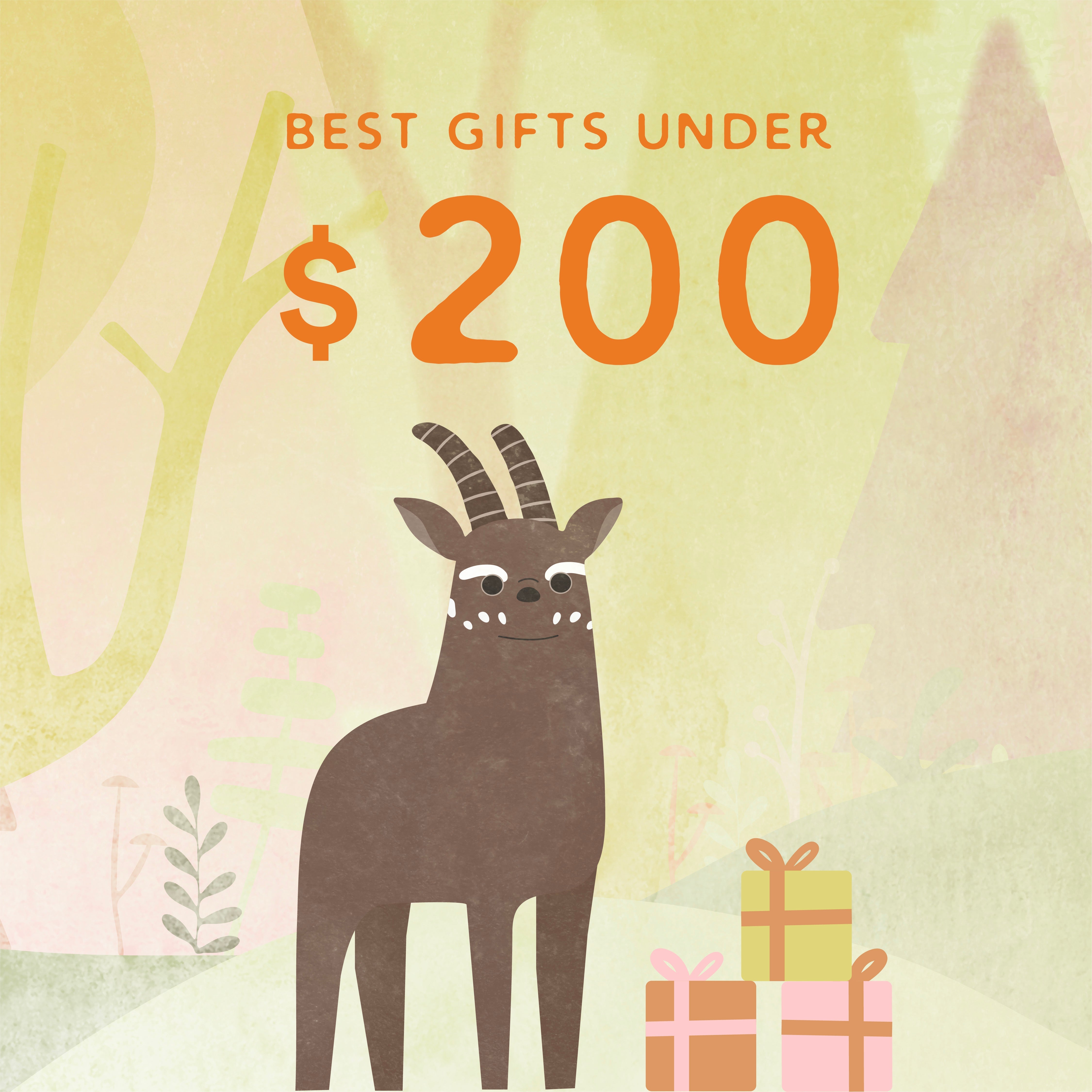 Best Gifts Under $200 – Slowood