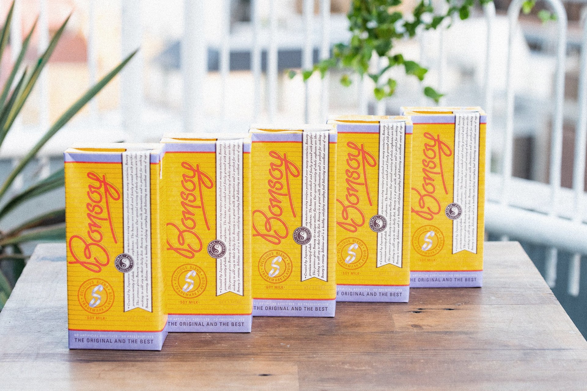 Bonsoy – Slowood