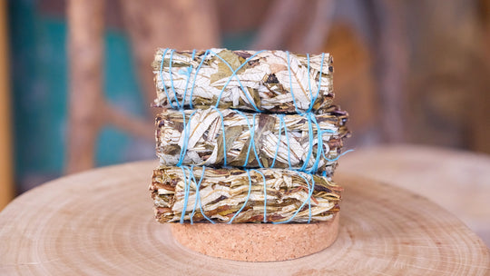 Natural Aroma | Aroma Hong Kong – Slowood