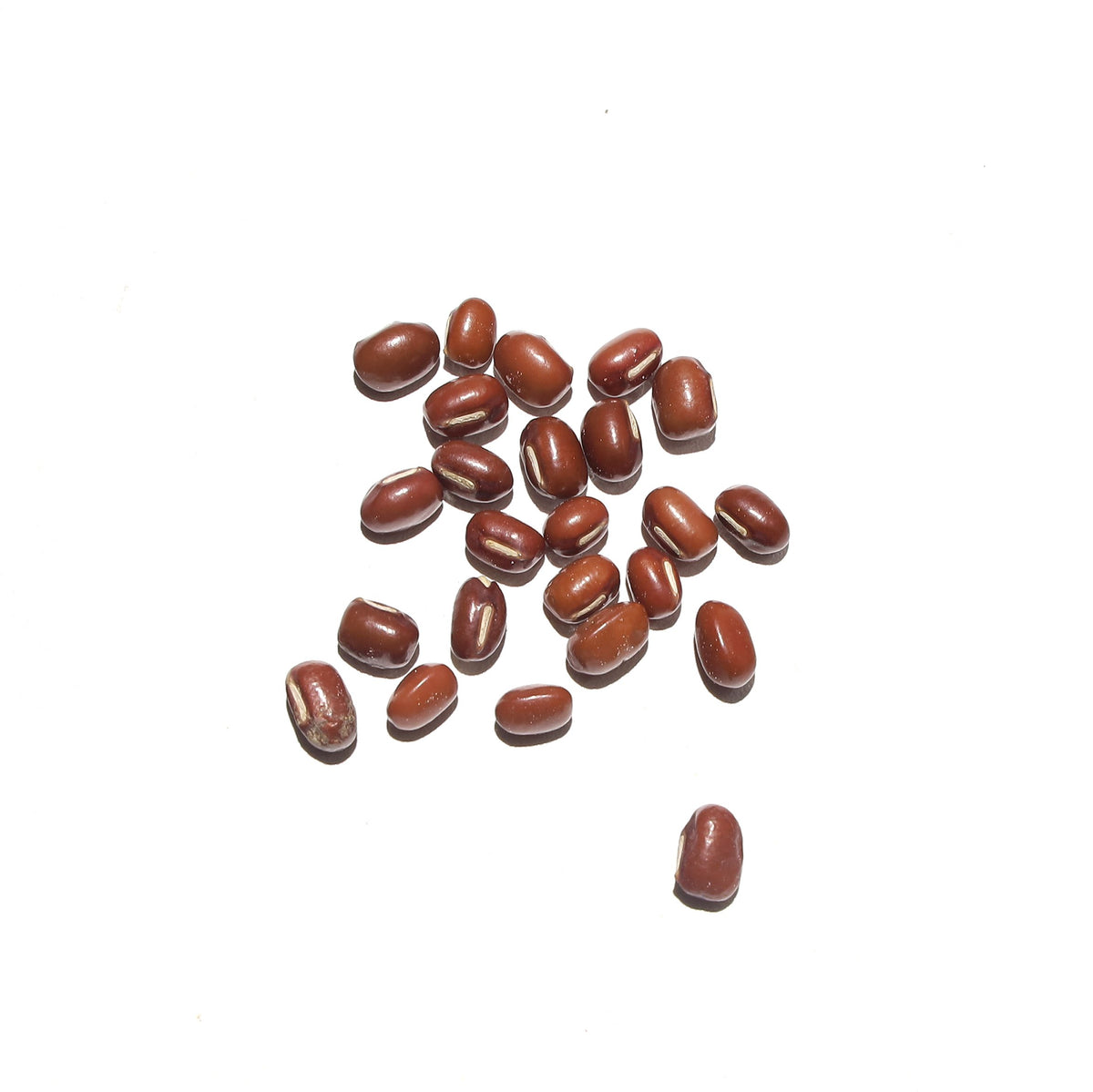 Online Grocery Store | Organic Shop & Products Hong Kong – Slowood